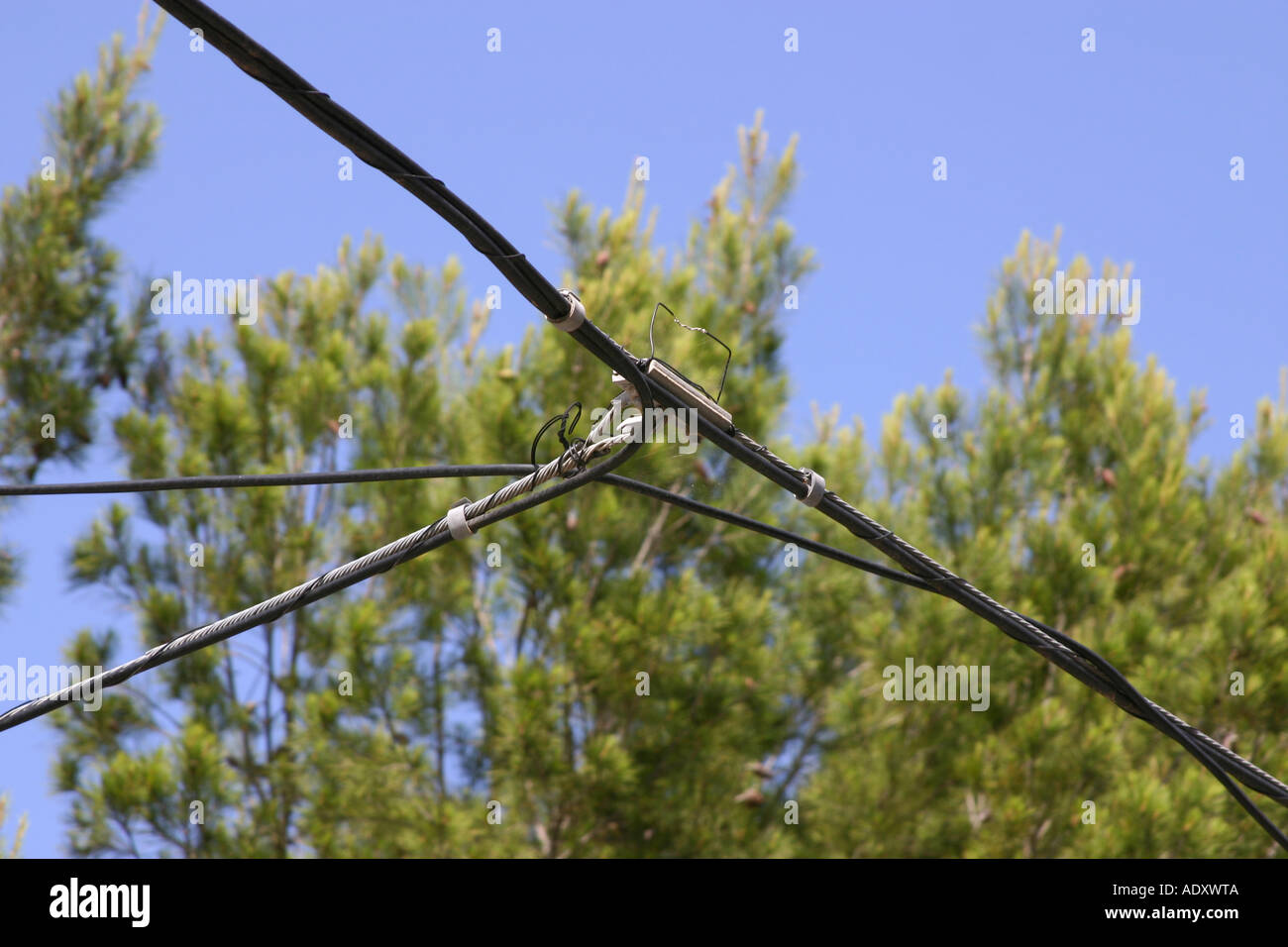 Aerial cable support and joint in Majorca Stock Photo - Alamy
