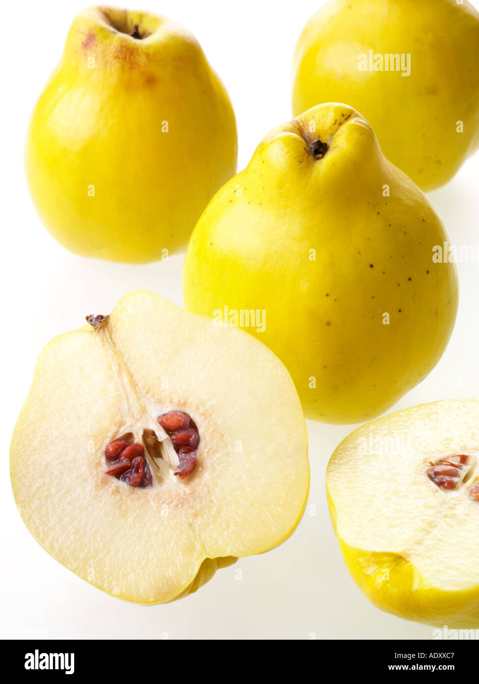 False quince hi-res stock photography and images - Alamy