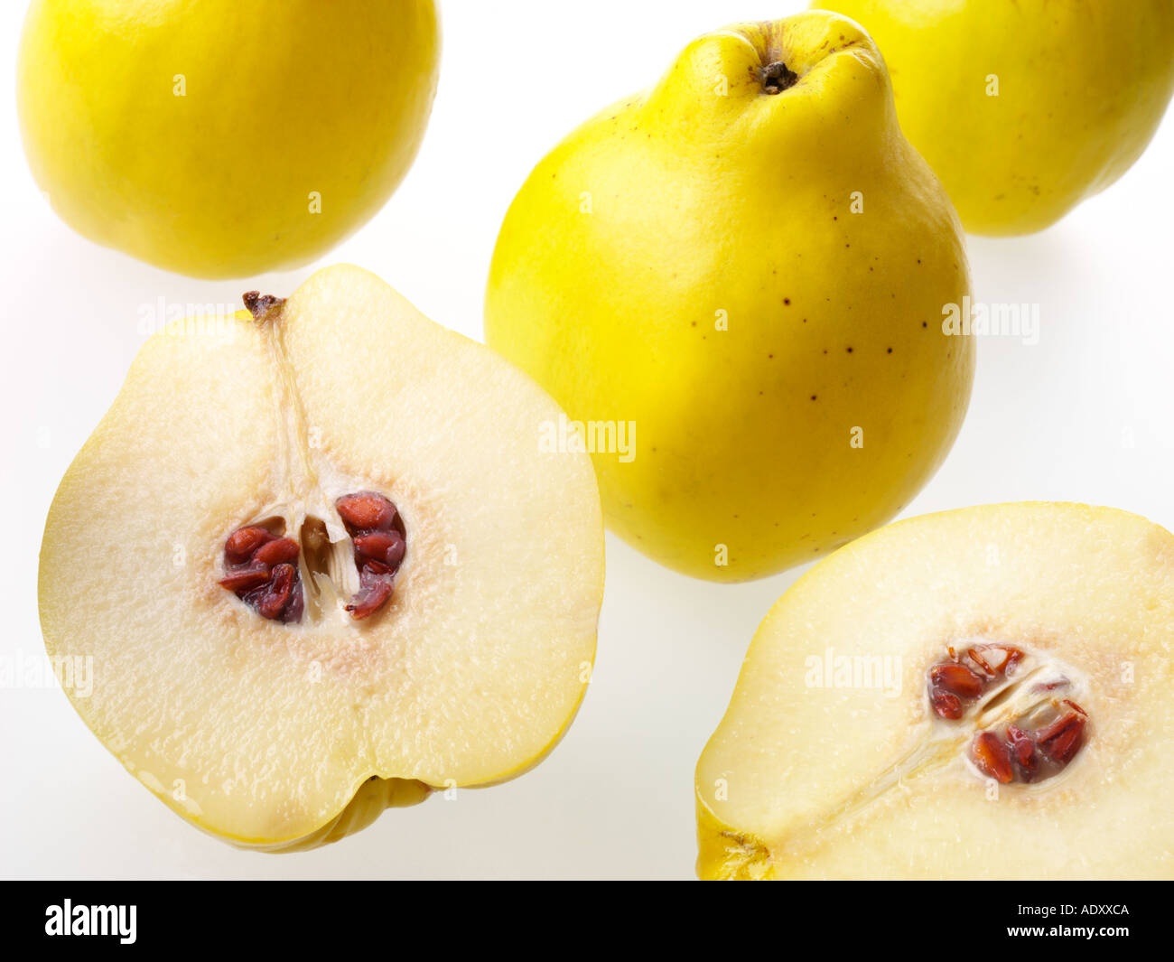 False quince hi-res stock photography and images - Alamy