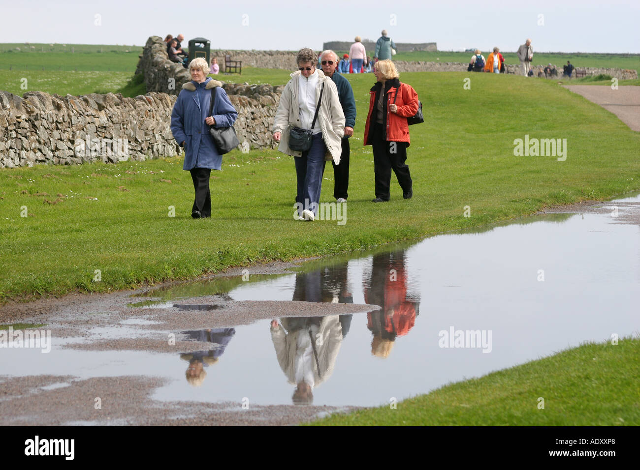 Group of people with reflection in puddle after sharp fall of rain on ...