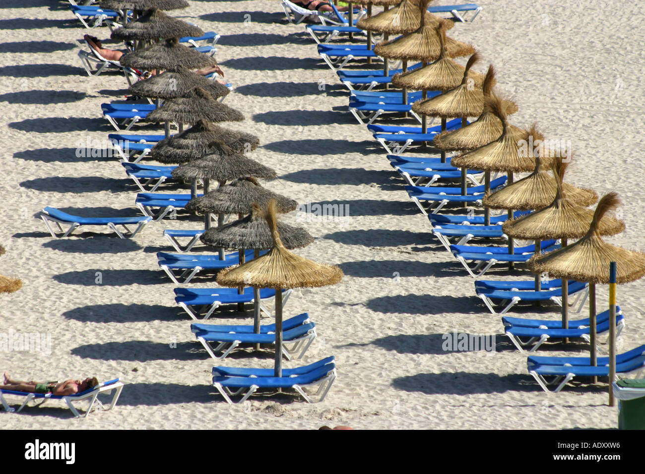 Beach sun beds with permanent thatched shades and long late afternoon ...