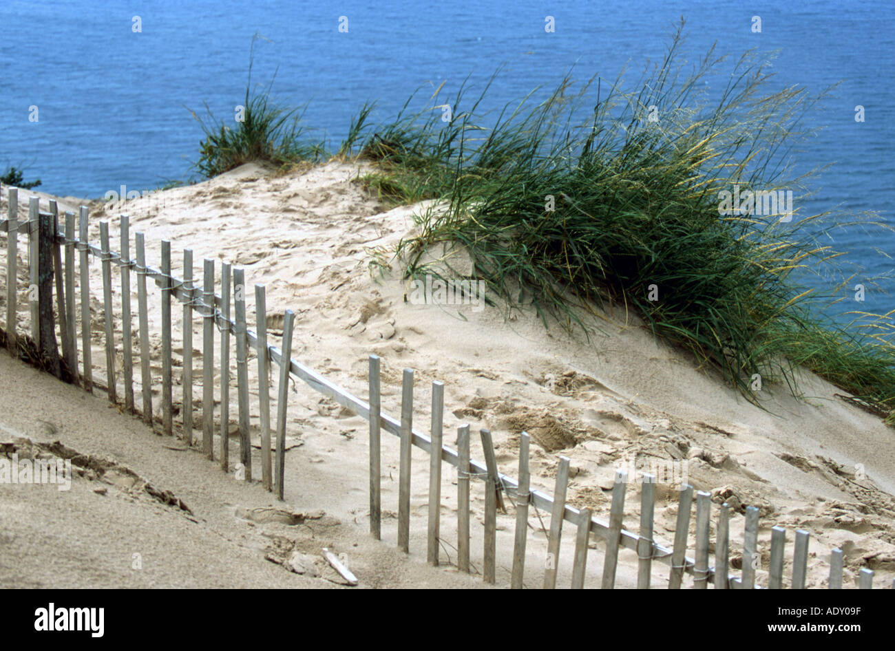 Sand Dune and Drift Fencing Stock Photo - Alamy