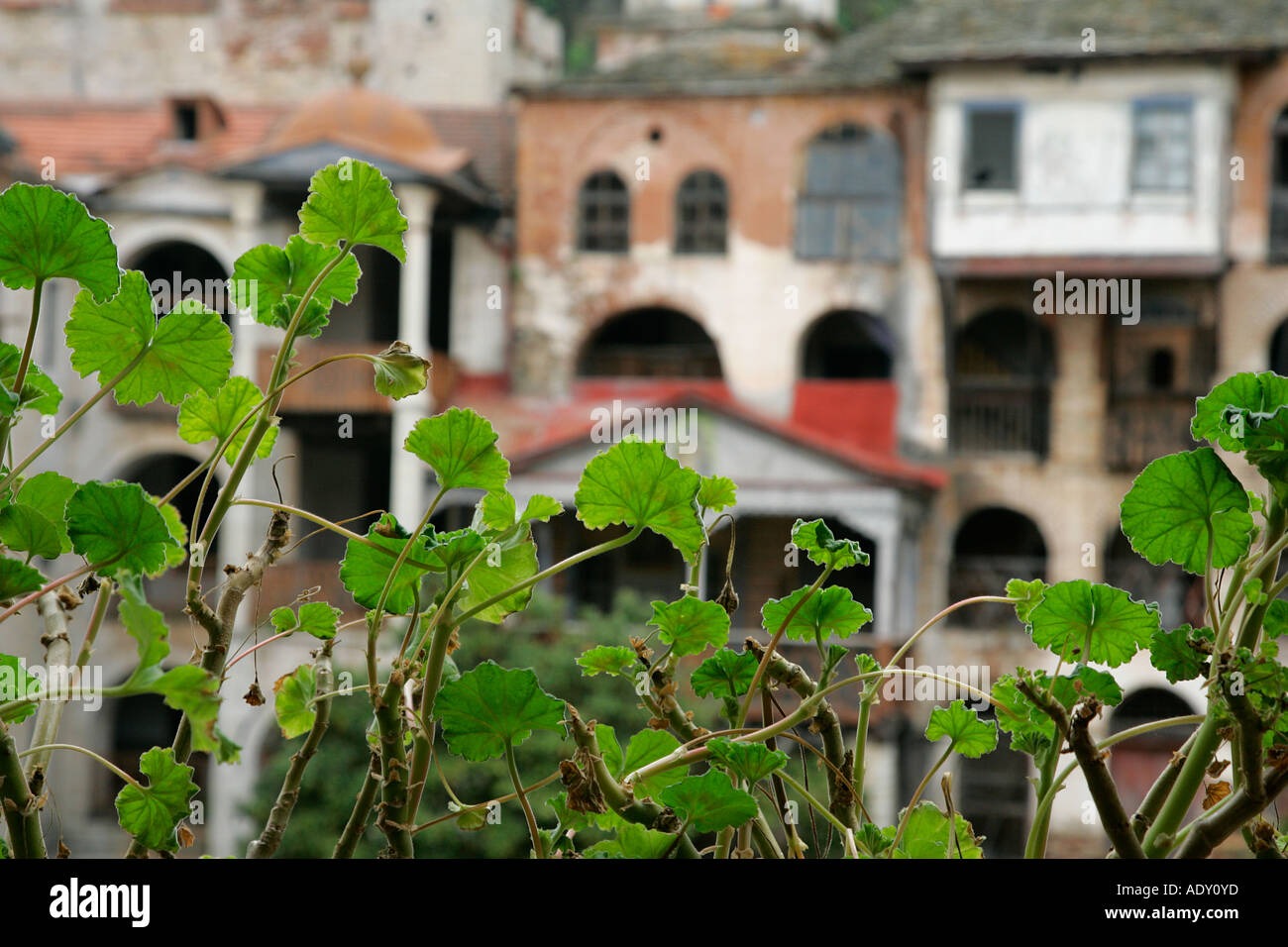 monastery Zografos Halkidiki Mount Athos Holy Land Christianity ...