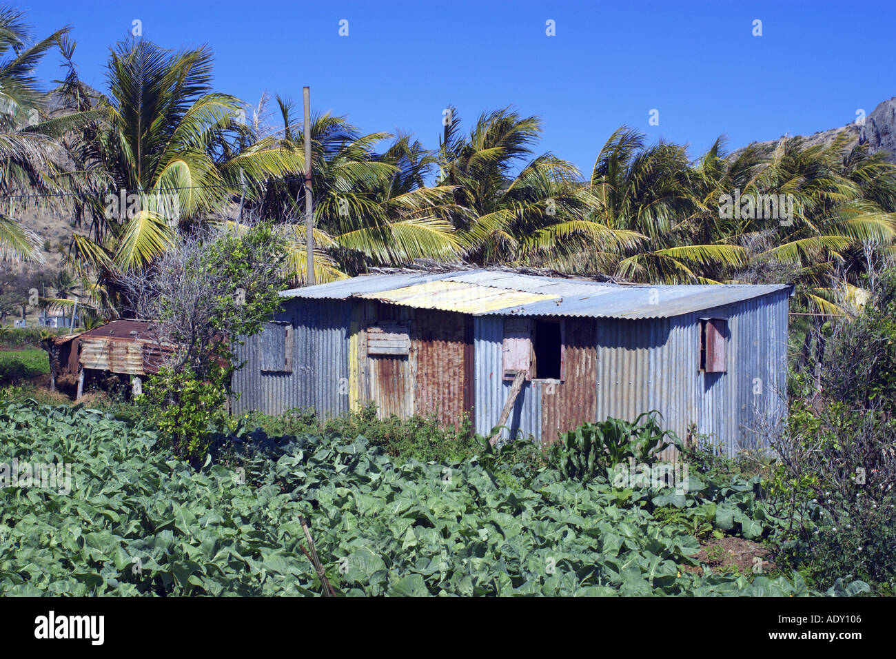Metal shack house hi-res stock photography and images - Alamy