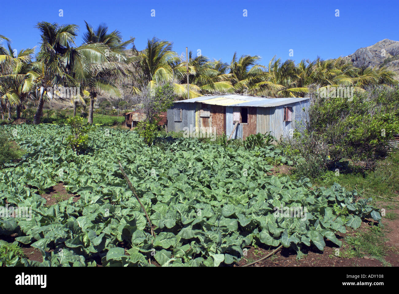 Metal shack house hi-res stock photography and images - Alamy