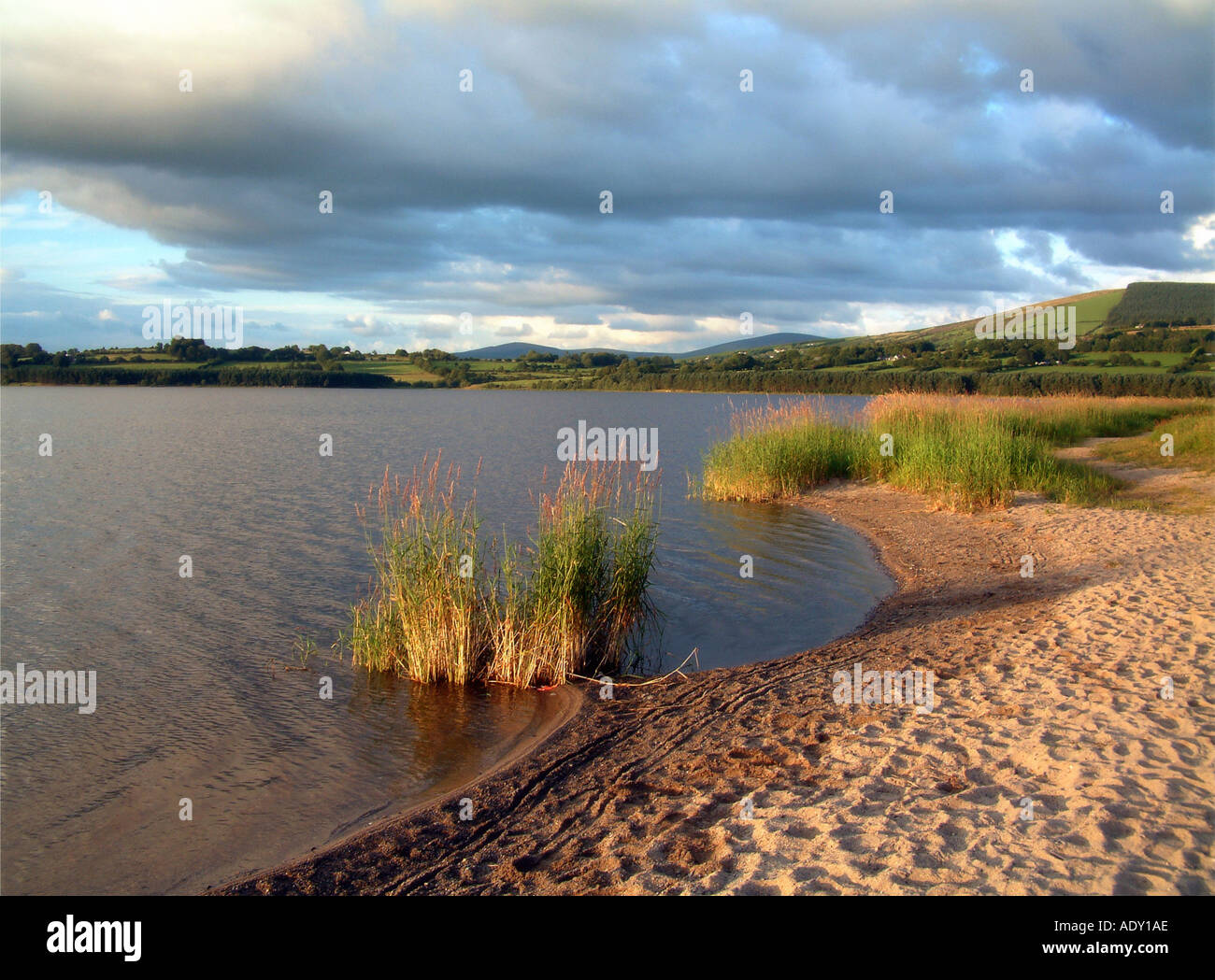 Pollaphuca hi-res stock photography and images - Alamy