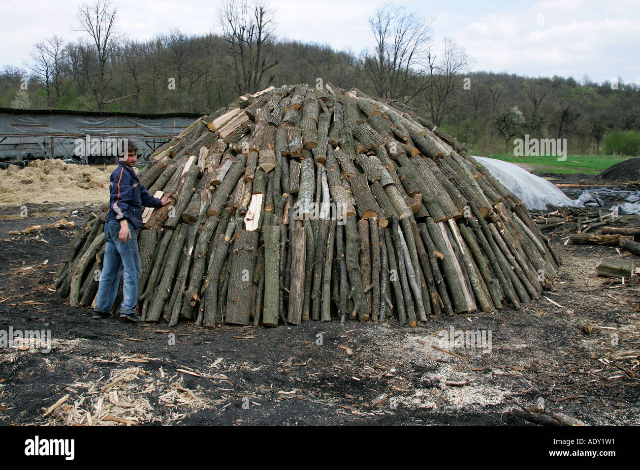 Heavy work hand made wooden coals mountain cut chop tree arrange ...