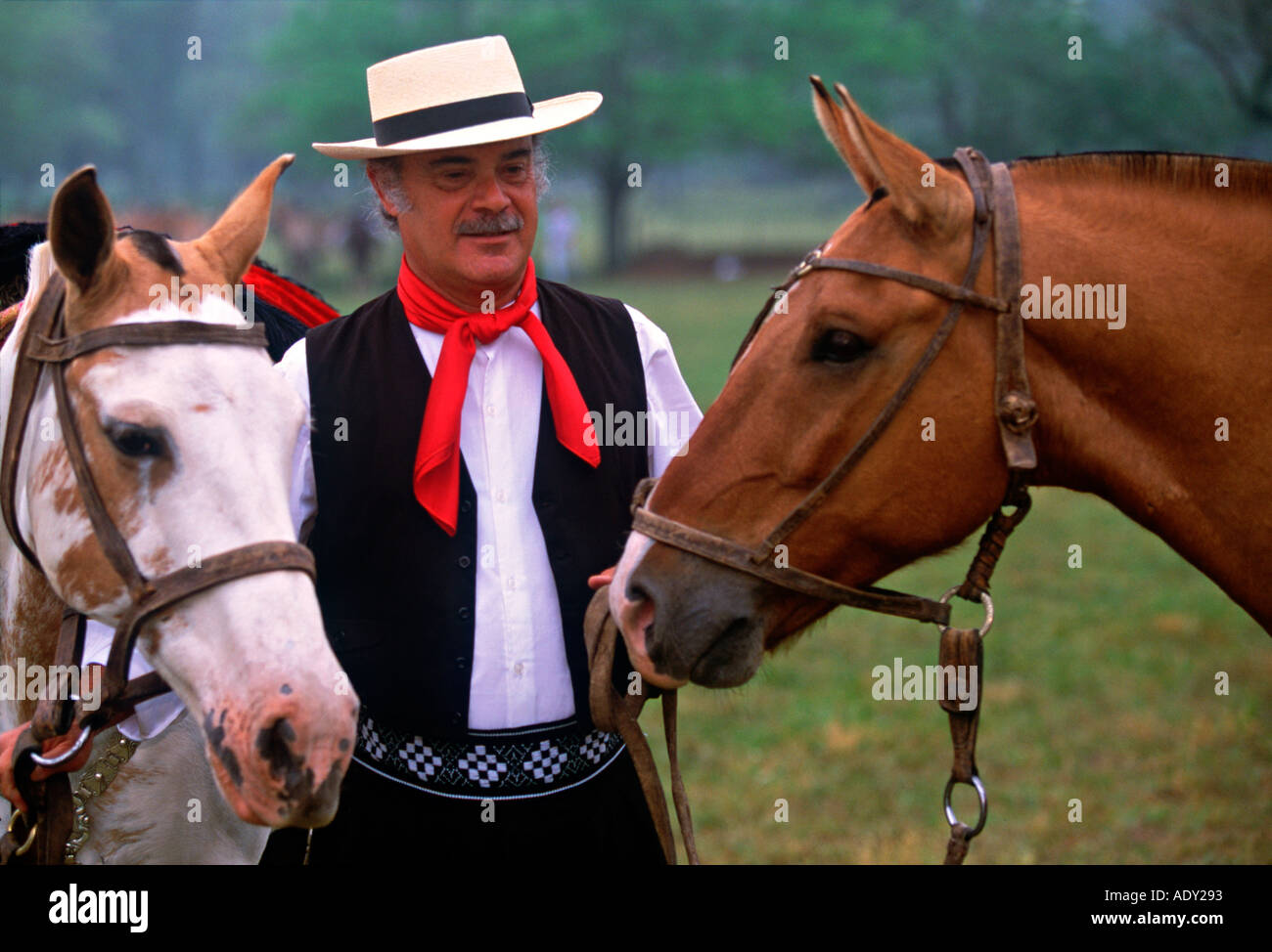 Festival of tradition gaucho hi-res stock photography and images - Alamy