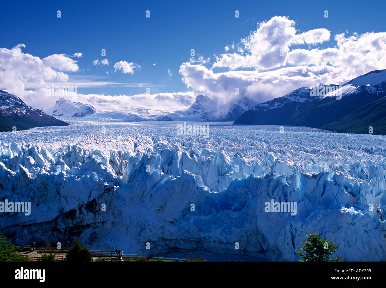 Perito Moreno Glacier Patagonia Argentina Stock Photo - Alamy