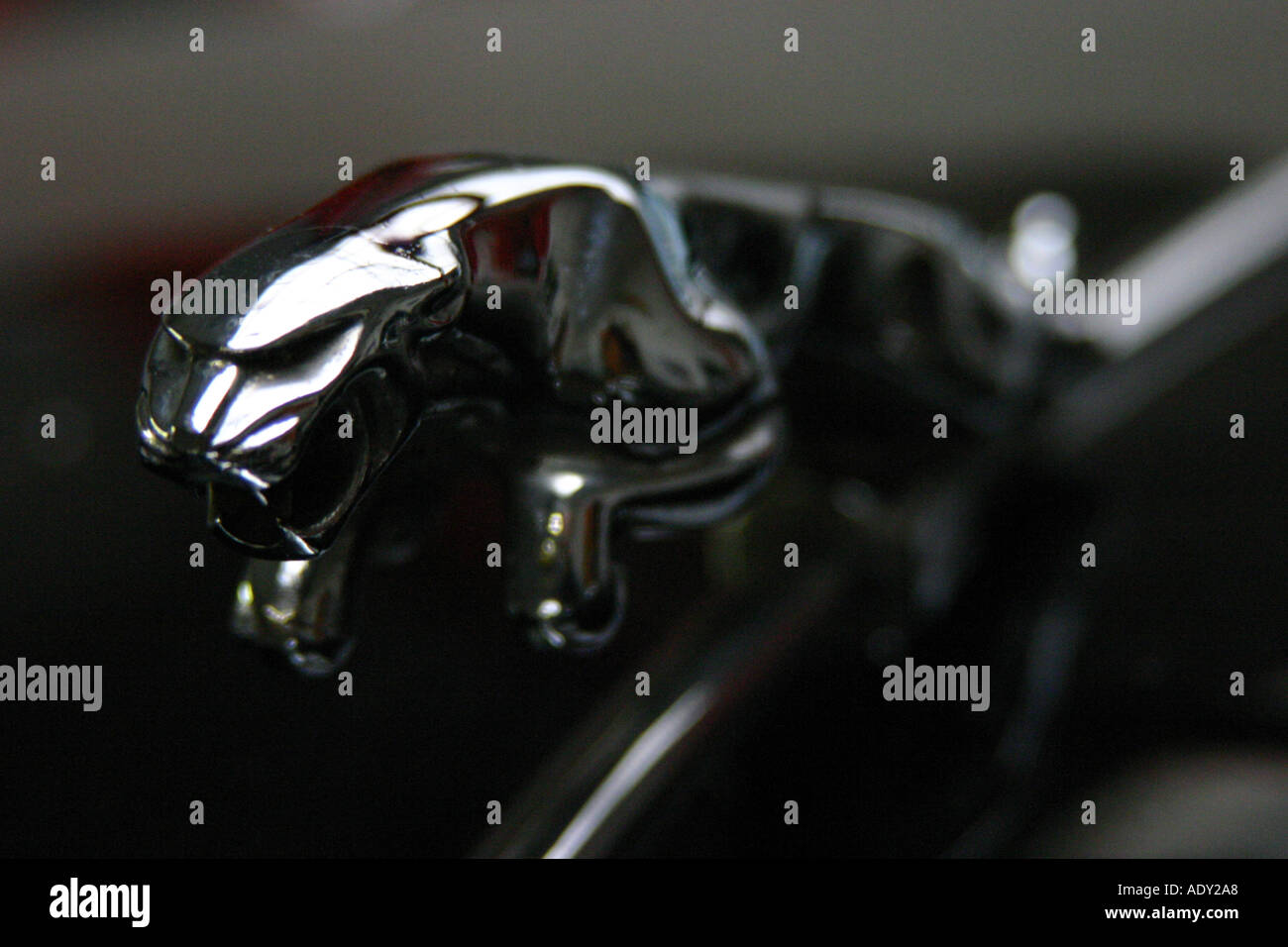 Jaguar radiator figure Stock Photo - Alamy