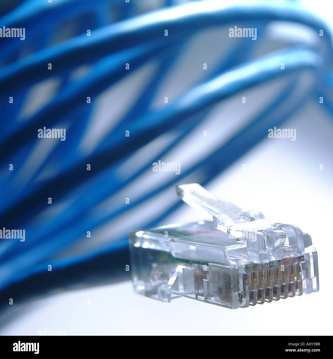 Business Concepts I network plug plastic computers connection ...