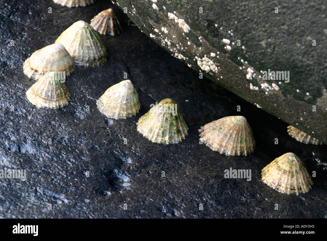 Unmoveable hi-res stock photography and images - Alamy