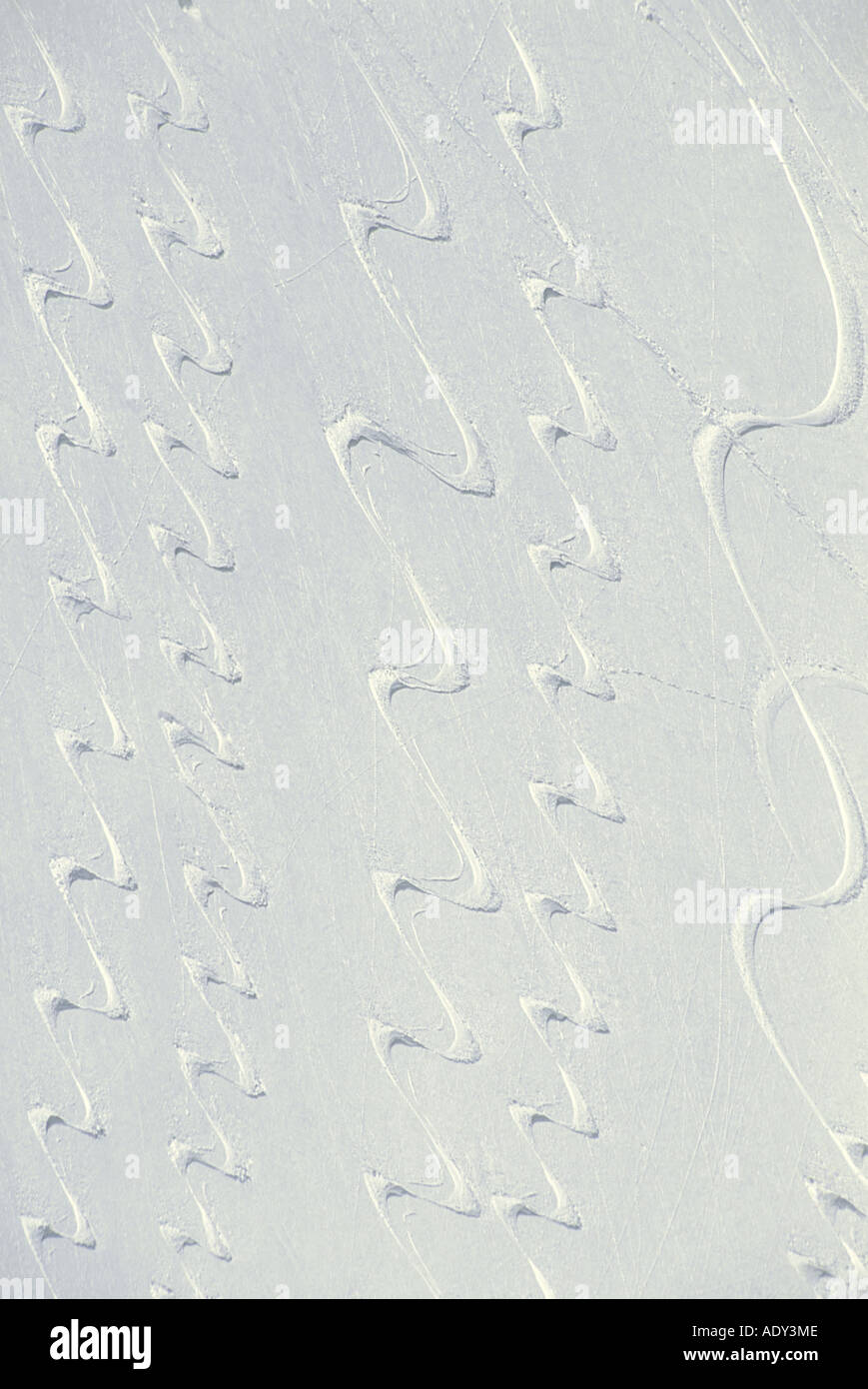 ski tracks in snow Stock Photo - Alamy