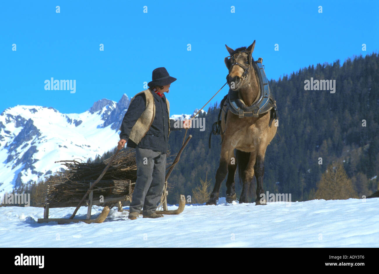 Farmer with sleight hi-res stock photography and images - Alamy