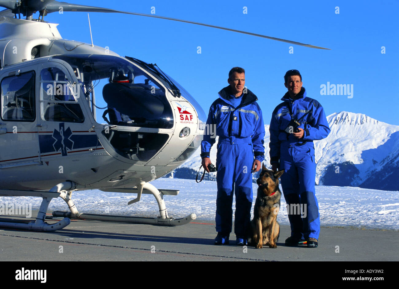 mountain rescue service, standing with avalance dog beside a helicopter ...