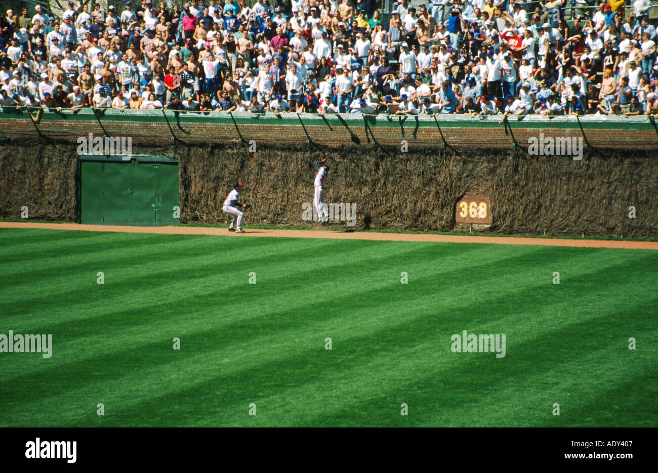 Baseball Player Ready Catch Ball Stock Photos & Baseball Player Ready ...