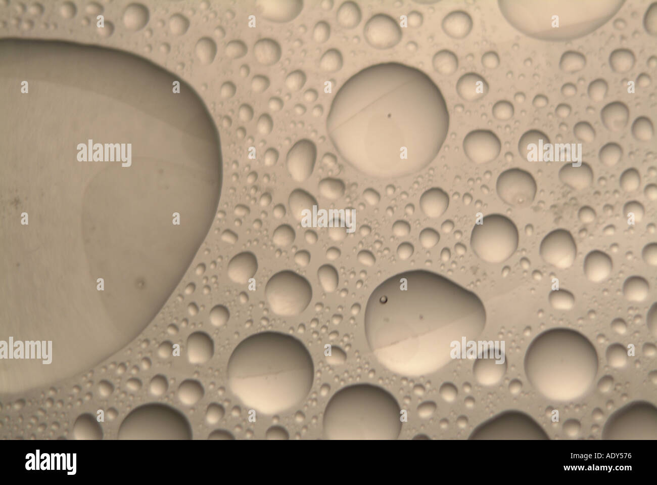 Backgrounds II glass surface drop drops droplets water wet foam foamy ...