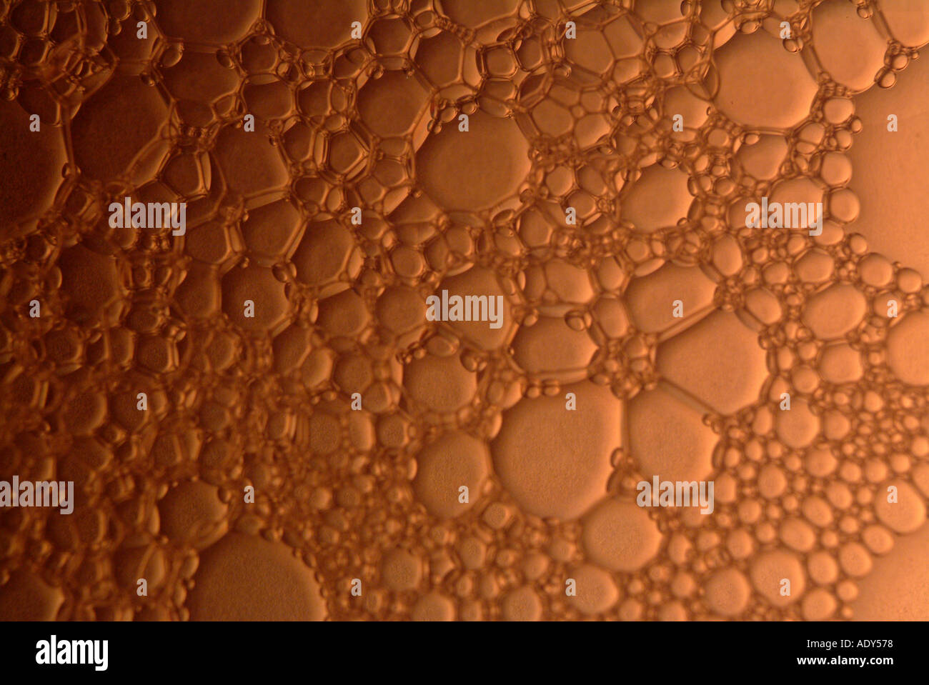 Backgrounds II glass surface drop drops droplets water wet foam foamy ...