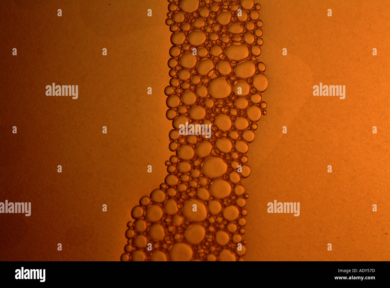 Backgrounds II glass surface drop drops droplets water wet foam foamy ...
