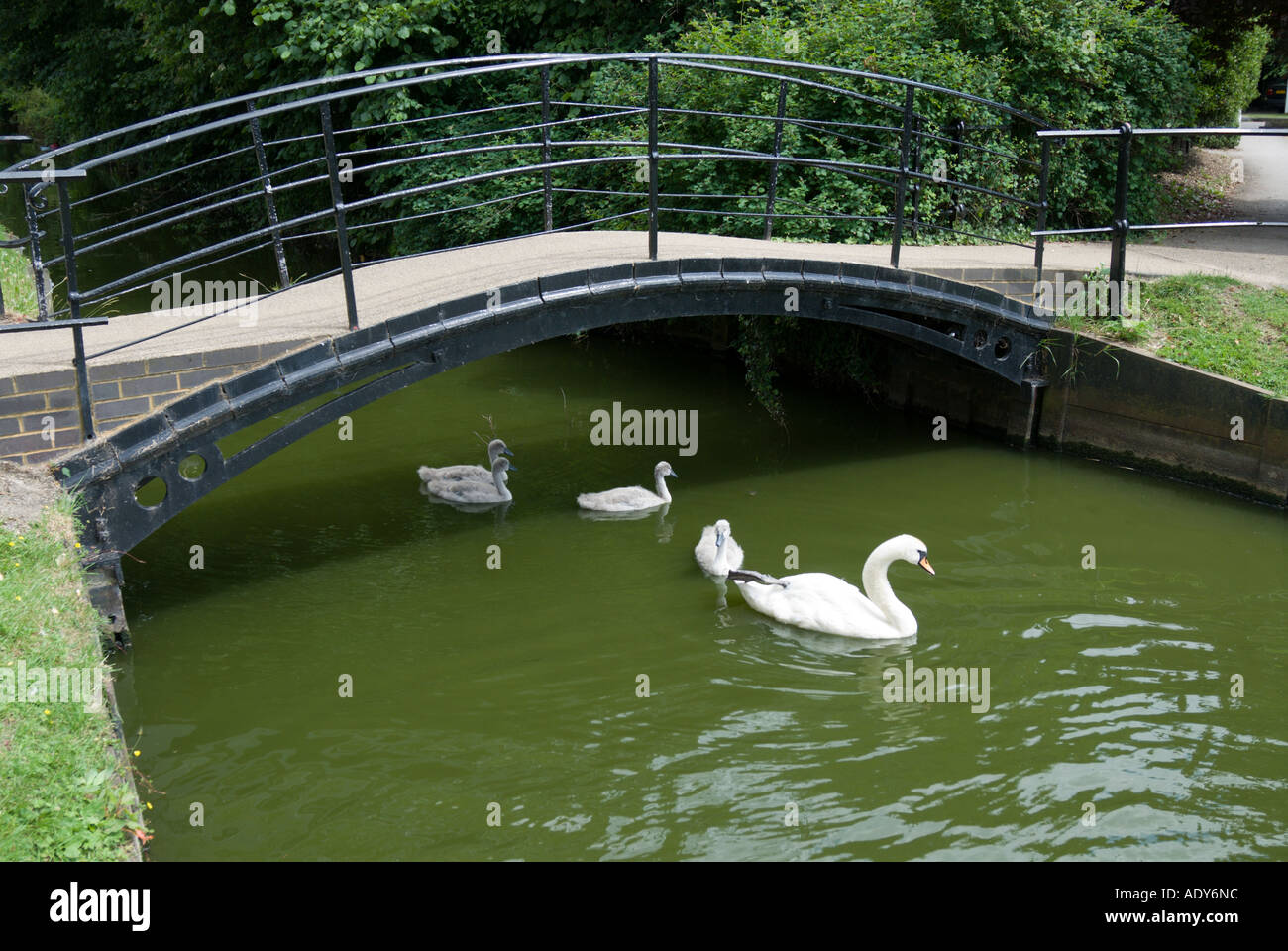 Bridge over the New River in Enfield town, north London Stock Photo - Alamy