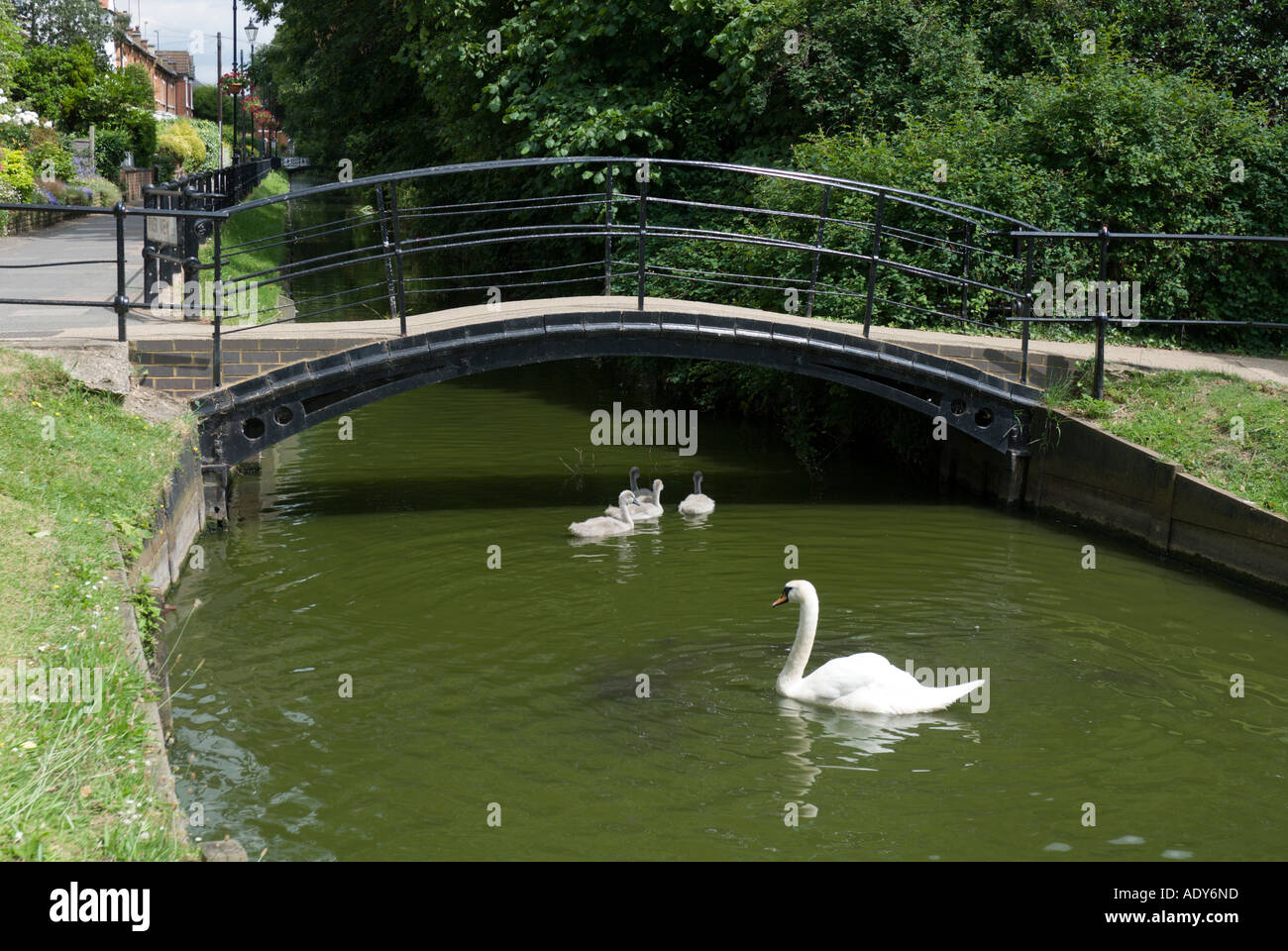 Bridge over the New River in Enfield town Stock Photo - Alamy