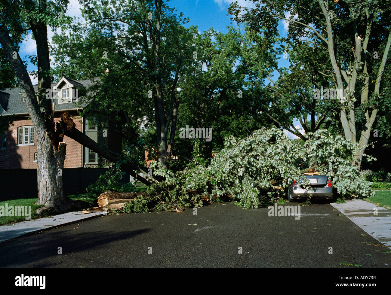 Severe damage asphalt road hi-res stock photography and images - Alamy