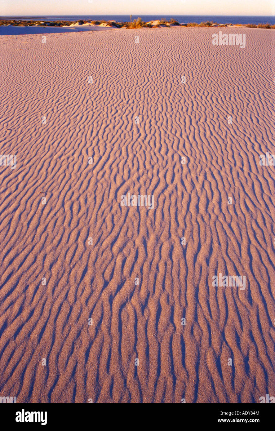 Overview of Desert, Northern Cape, South Africa Stock Photo - Alamy