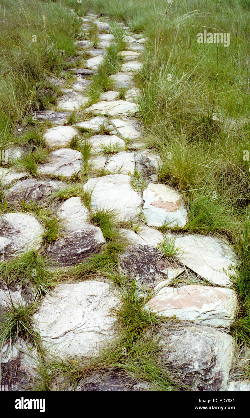 Travel Distrito Federal path road cobblestone colonial preserved track ...