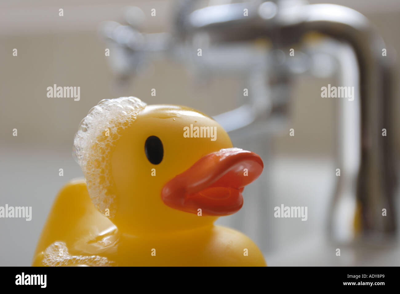 Rubber ducks bubble bath hi-res stock photography and images - Alamy