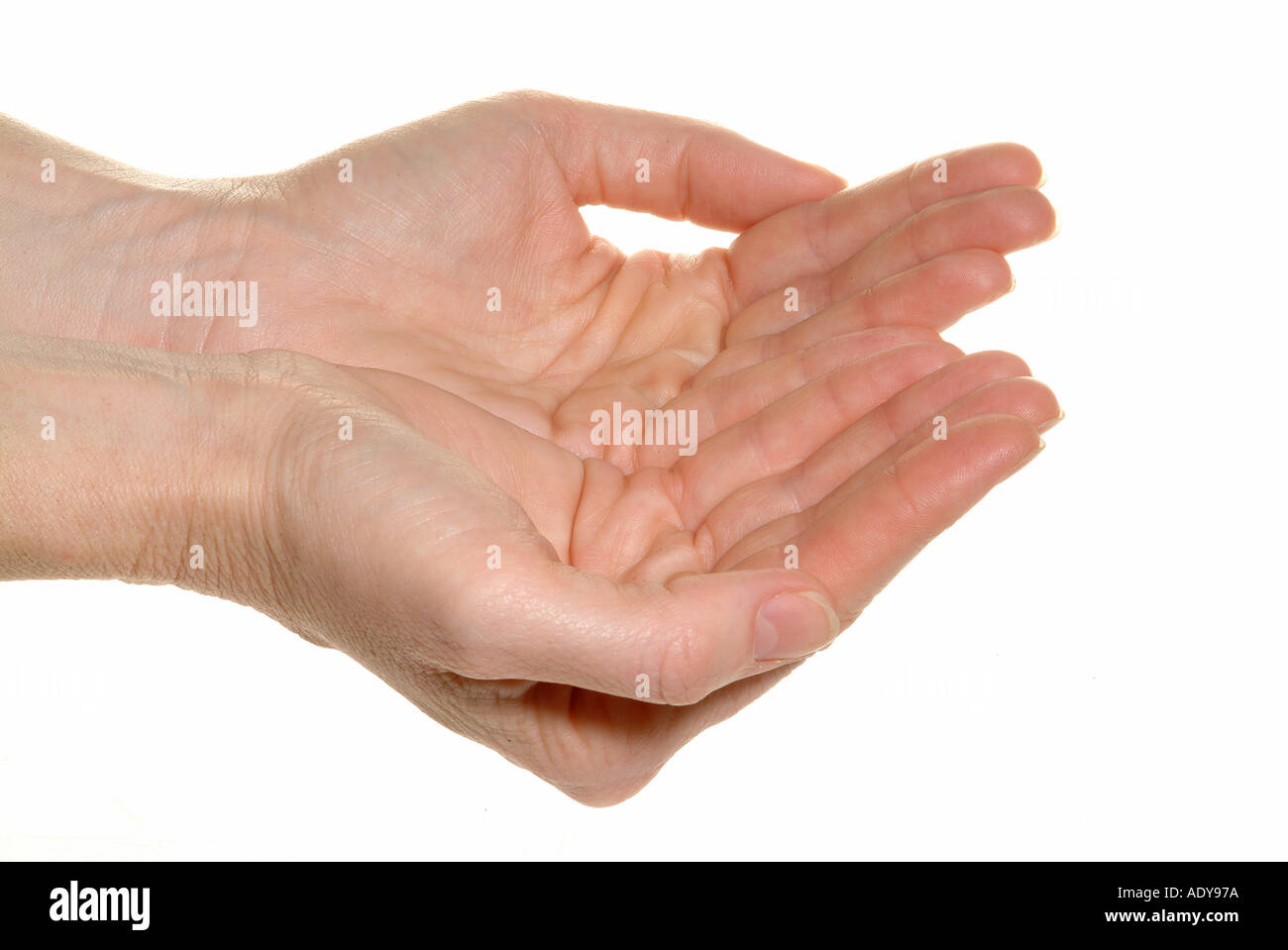 Hands person people hand finger fingers wrist thumb thumbs nails ...