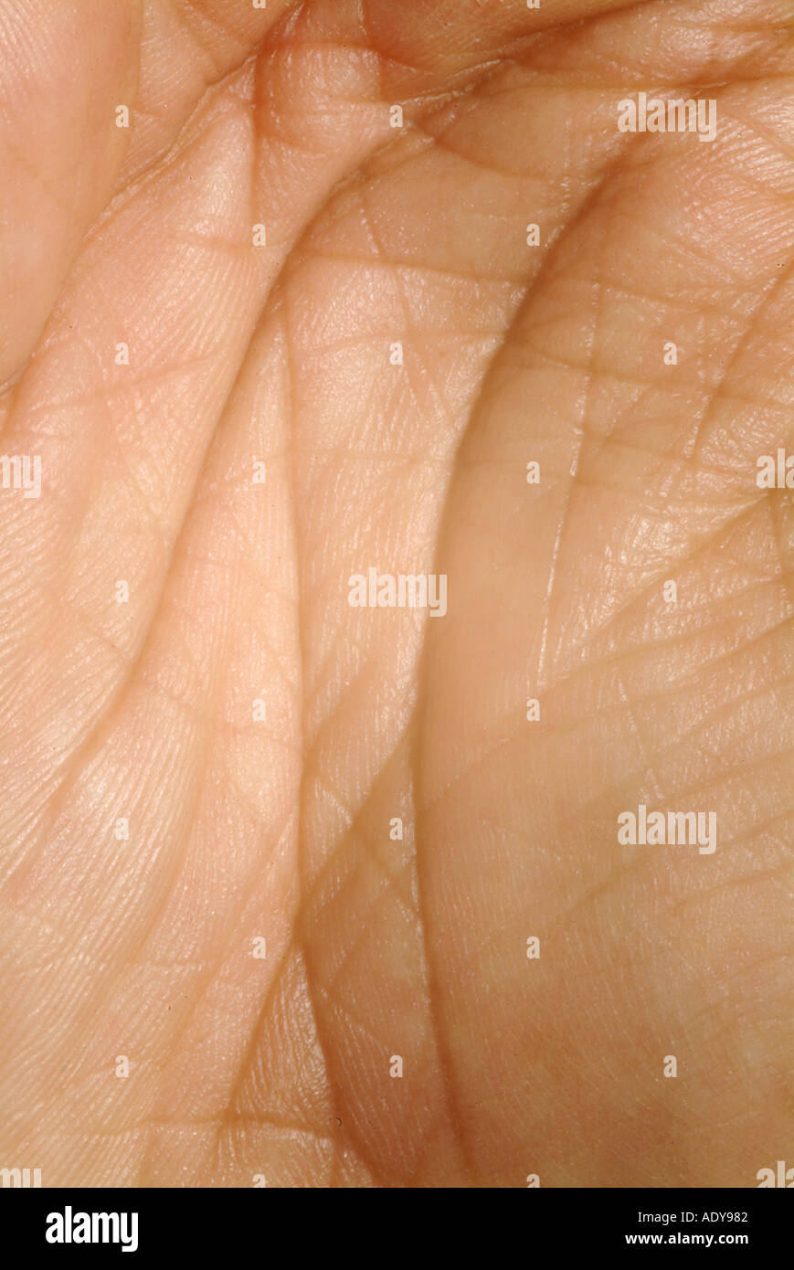 Hands people person close close up palm of hand wrinkle old skin line ...