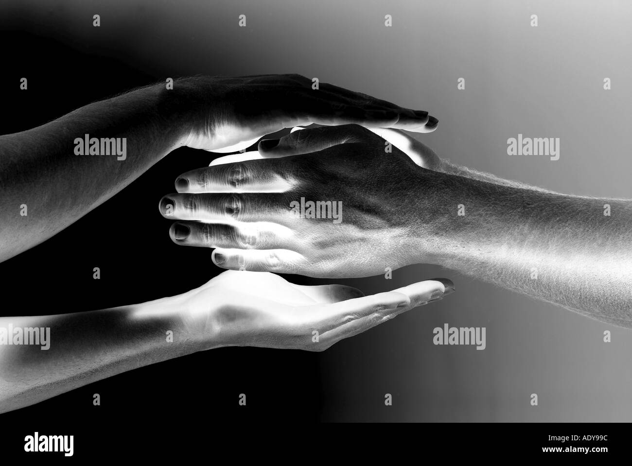 Hands person people hand finger fingers wrist thumb thumbs nails white ...