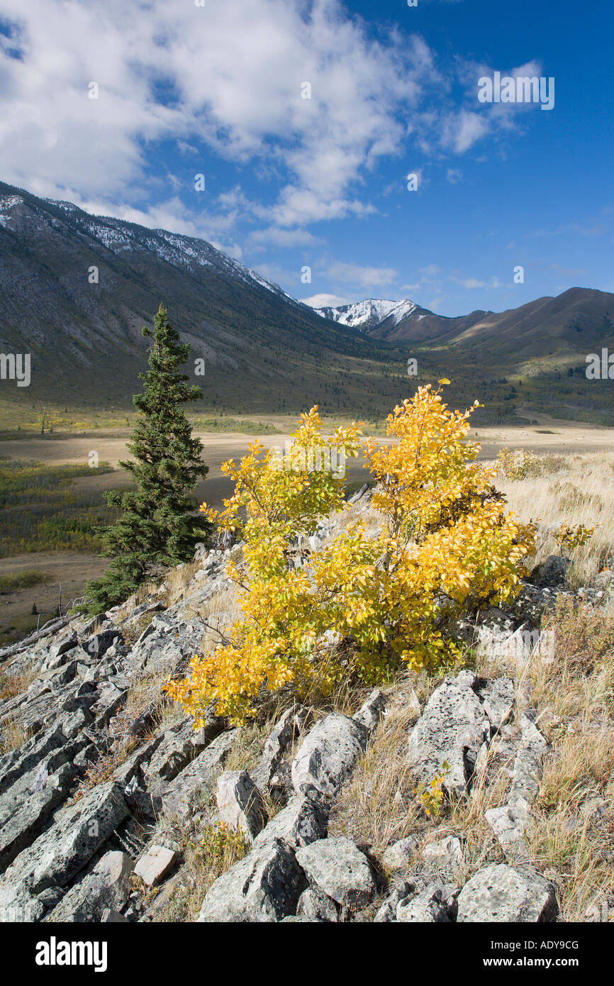 Livingston Range, Bob Creek Wildland Provincial Park, Rocky Mountains ...