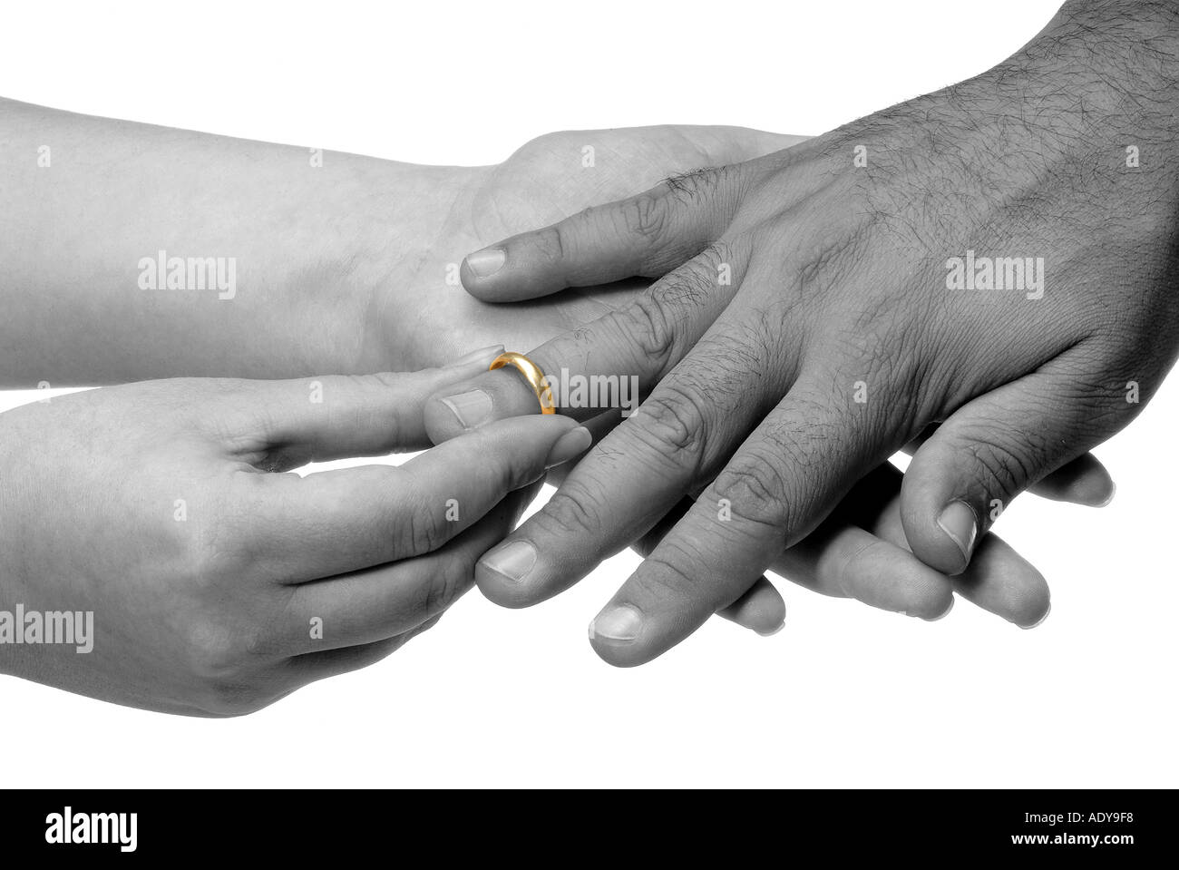Hands hand hands finger close close up love marriage ring married ...