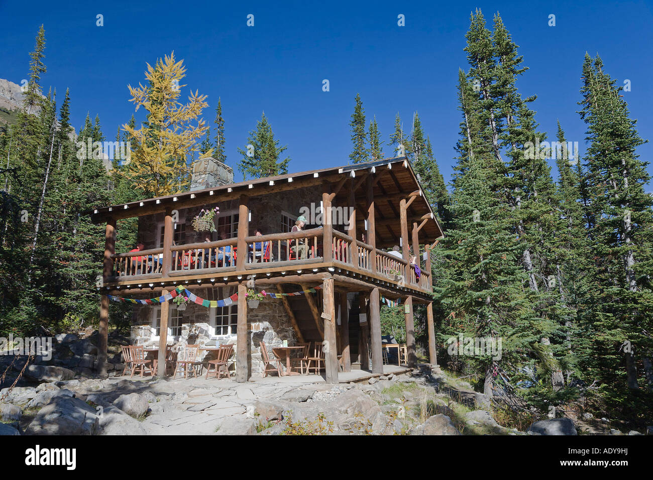 Tea House, Lake Louise, Banff National Park, Alberta, Canada Stock ...