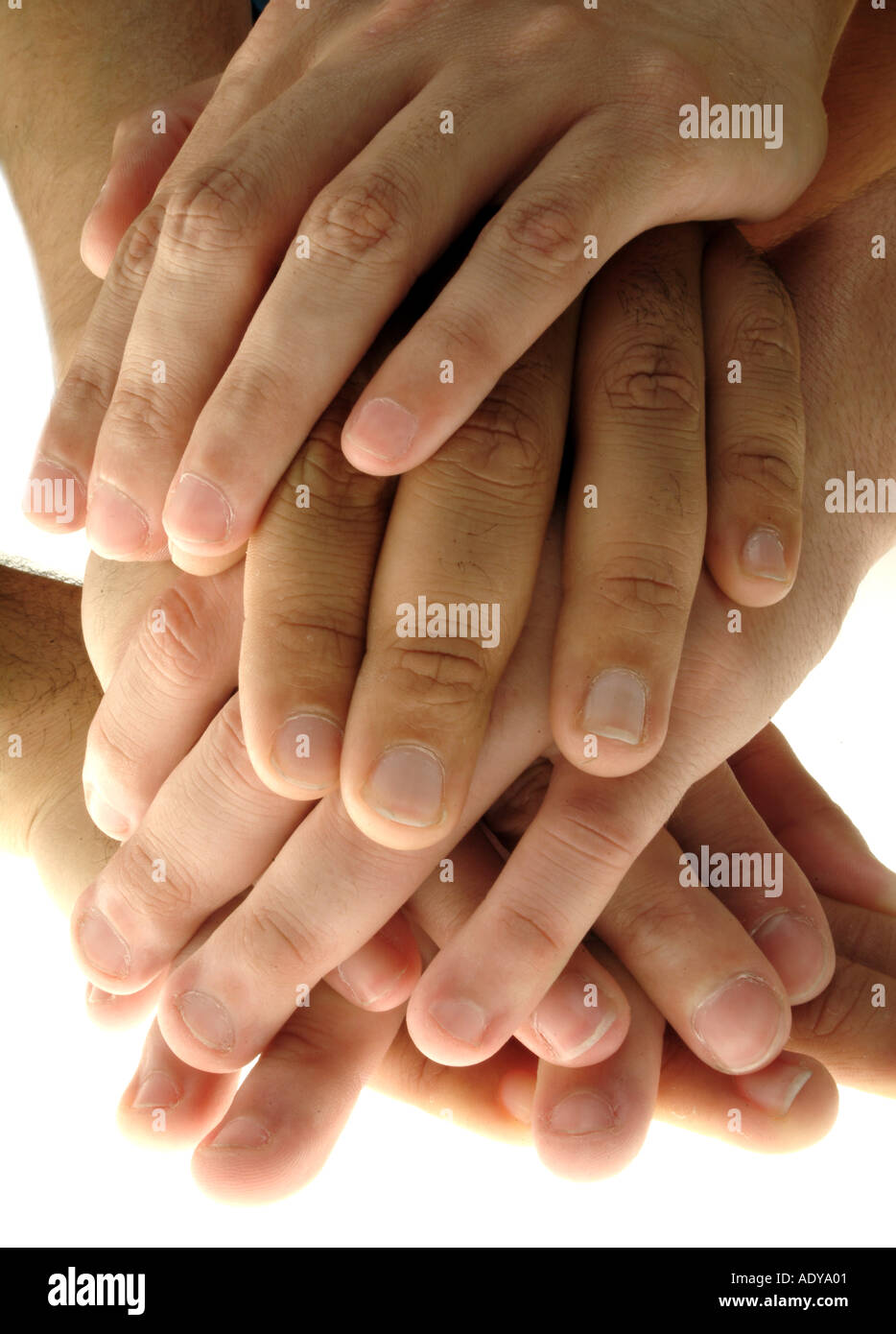 Hands people person hand hands finger three 3 group hold holding held ...