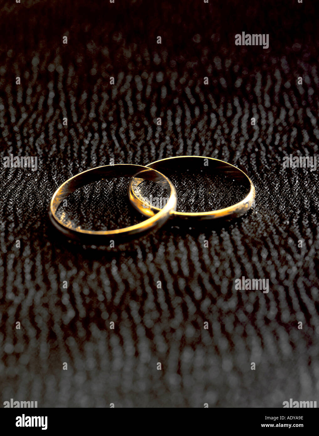 Celebrations I ring rings wedding marrieage wife husband commitment ...