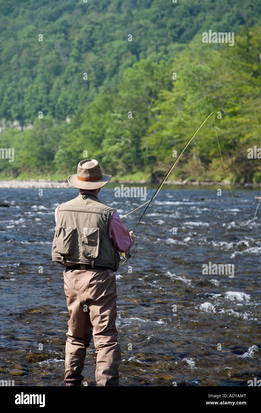 Beaverkill river hi-res stock photography and images - Alamy
