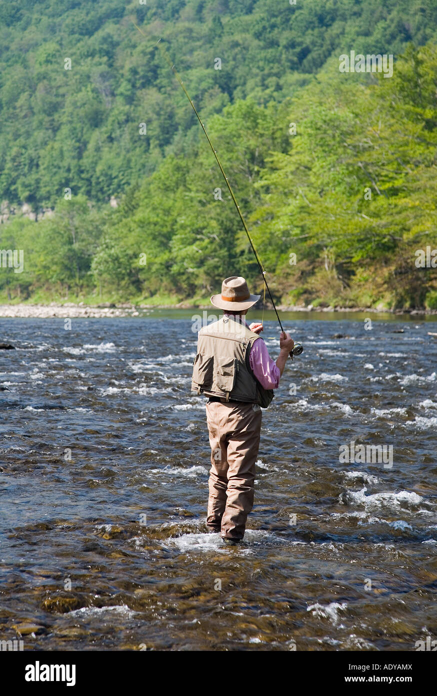 Man Fly Fishing, Beaverkill River, Catskill Park, New York, USA Stock ...