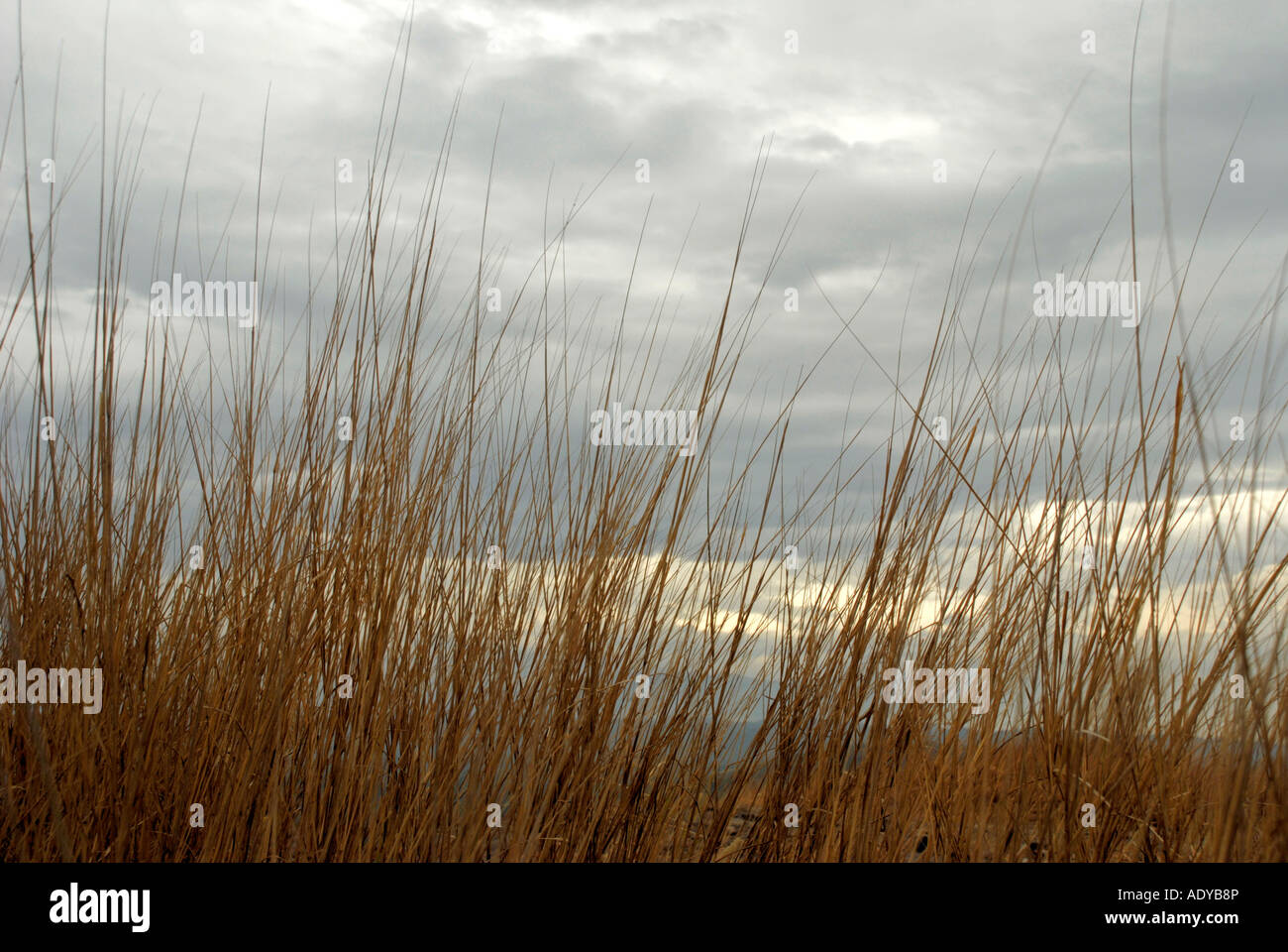 Dry grass on top of rocky mounden in summer against cloudy sky Stock ...
