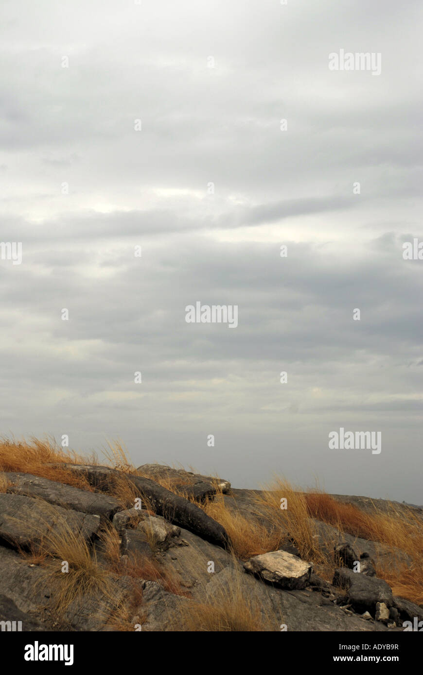 Rainy season in kerala hi-res stock photography and images - Alamy