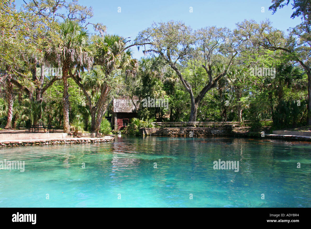 Juniper Springs Pool Stock Photo - Alamy