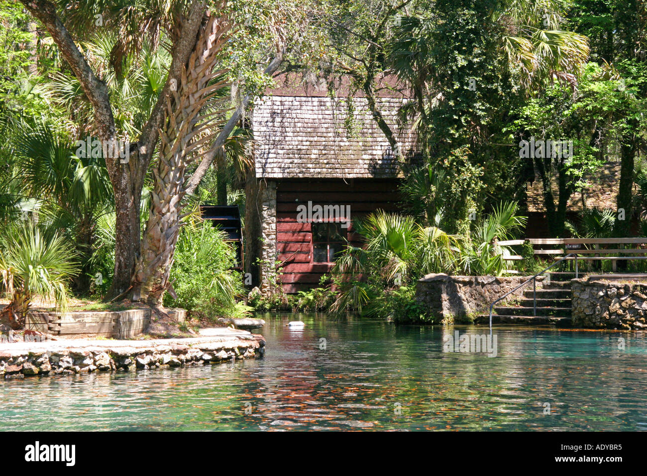 Juniper Springs Pool and old mill house Stock Photo - Alamy