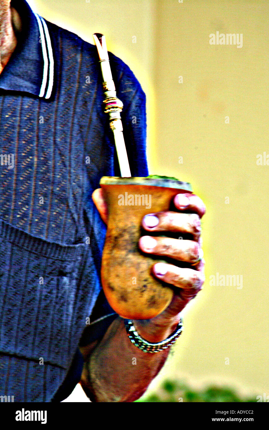 Rio Grande do Sul chimarrao cuia bomba straw gaucho herbal tea ...