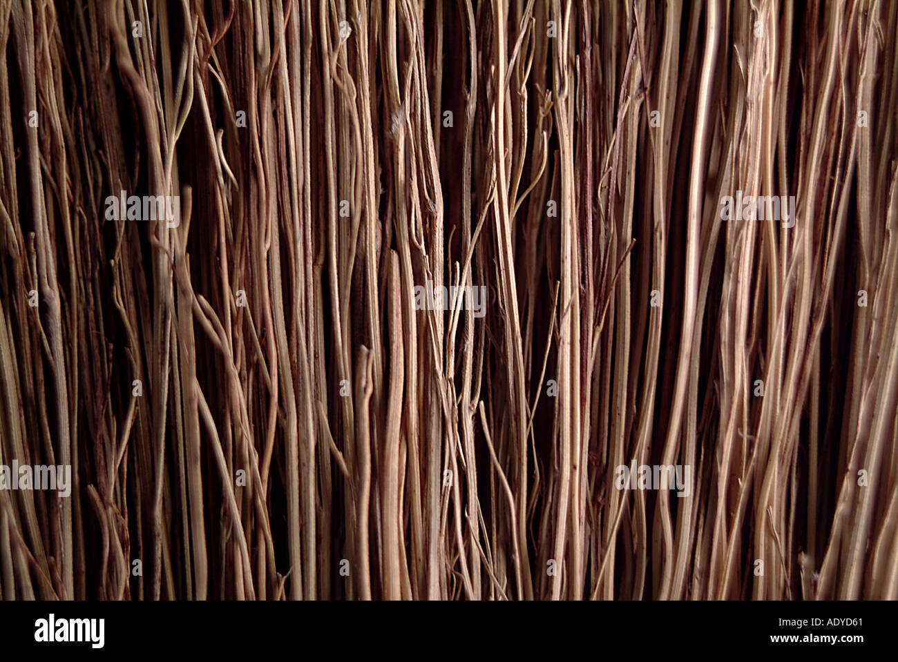 Hanging by threads hi-res stock photography and images - Alamy