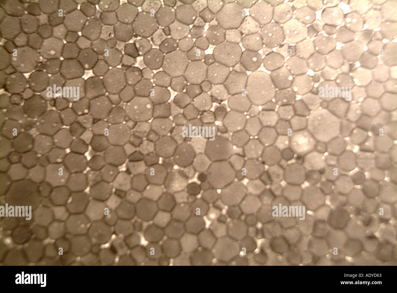 Backgrounds I bubbly bubble bubbles cluster clustered round crowded ...