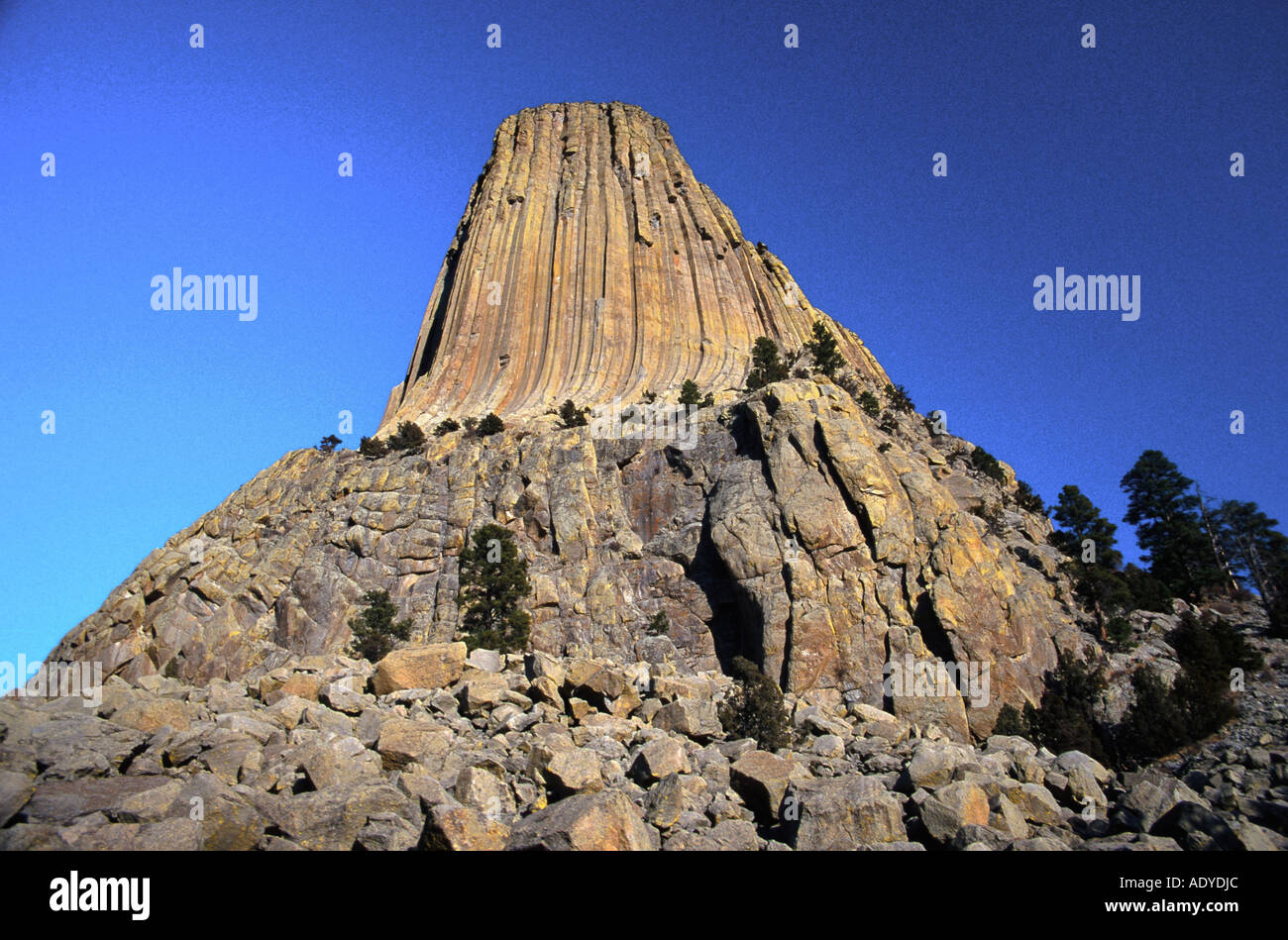 Devils Tower, basalt rock, USA, Wyoming, NM Devils Tower Stock Photo ...