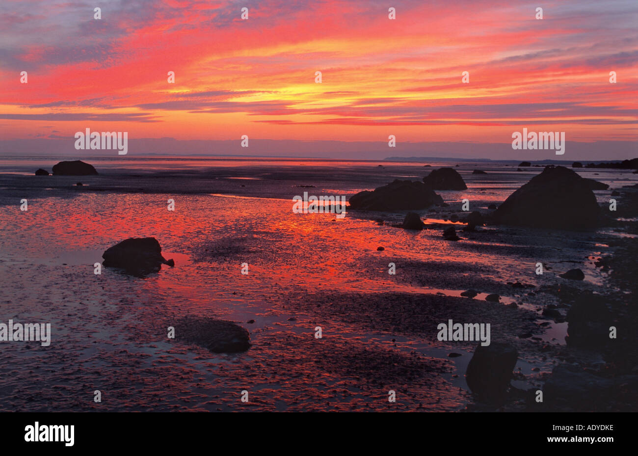 Turnagain arm p hi-res stock photography and images - Alamy
