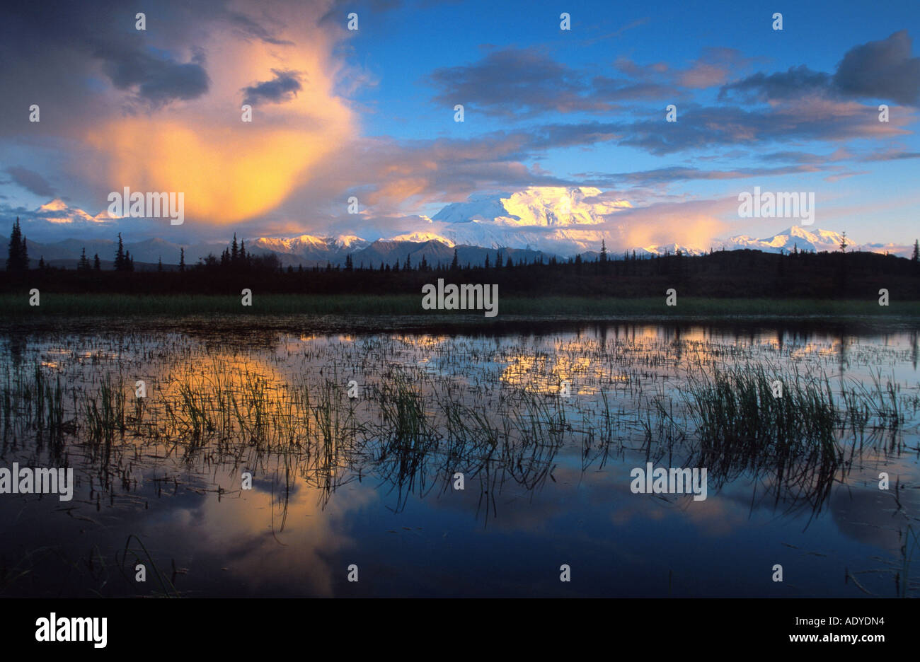 Mount Denali, Mount McKinley, reflection in water, USA, Alaska, Denali ...