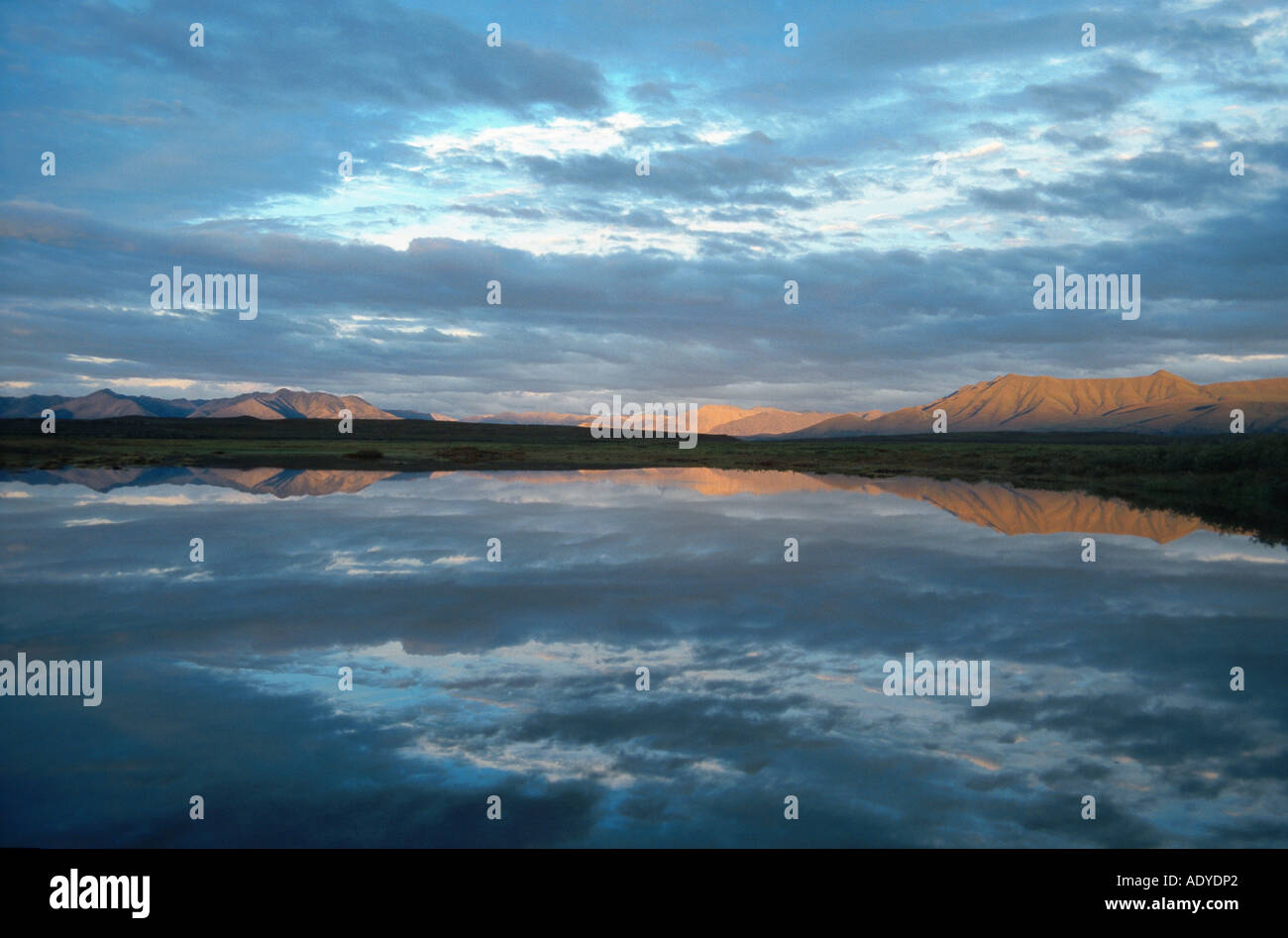 Subarctic landscape hi-res stock photography and images - Alamy